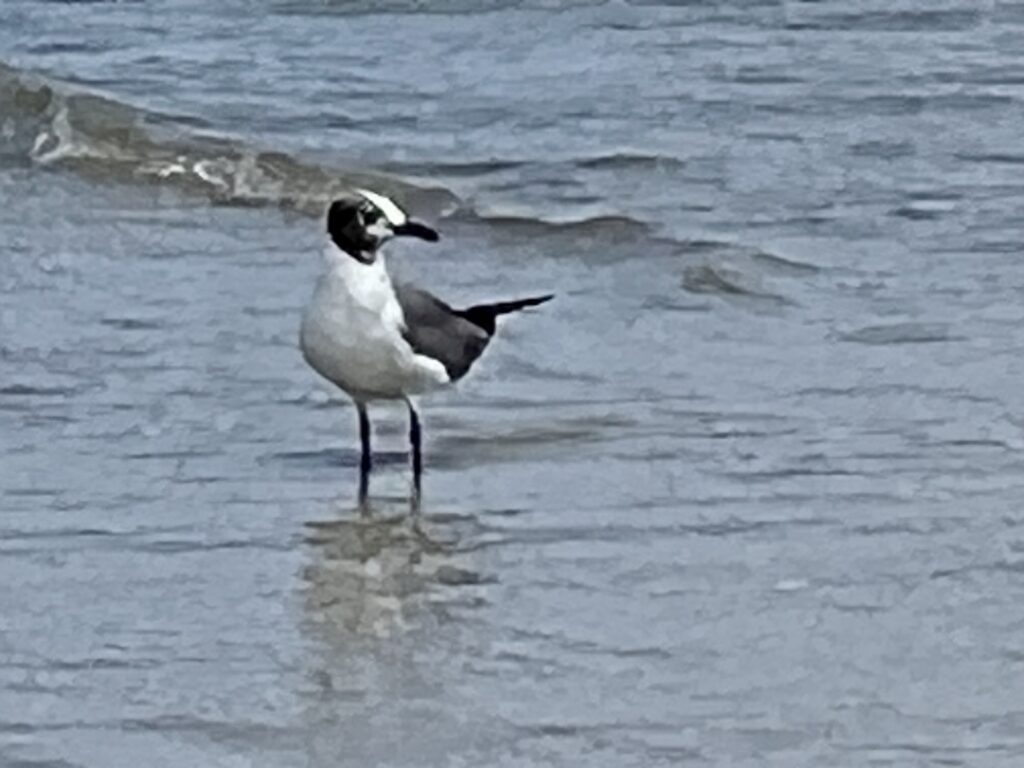 Practitioners Archive - Eden Method Certified Practitioner Listings